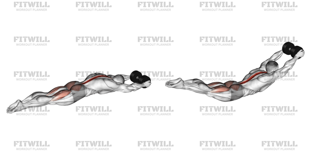 Dumbbell Superman: Exercise Guide, Video, Techniques, Benefits, How to ...
