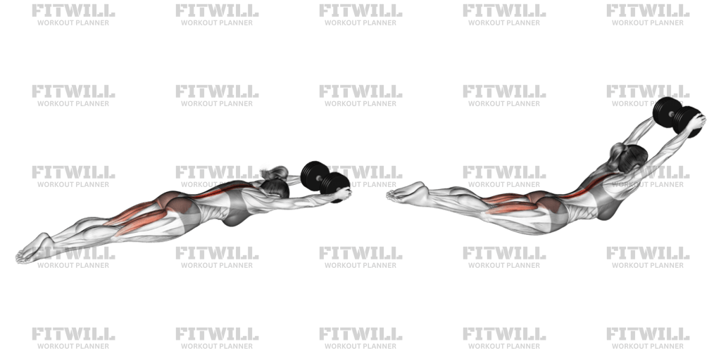 Dumbbell Superman: Exercise Guide, Techniques, Benefits, How to ...