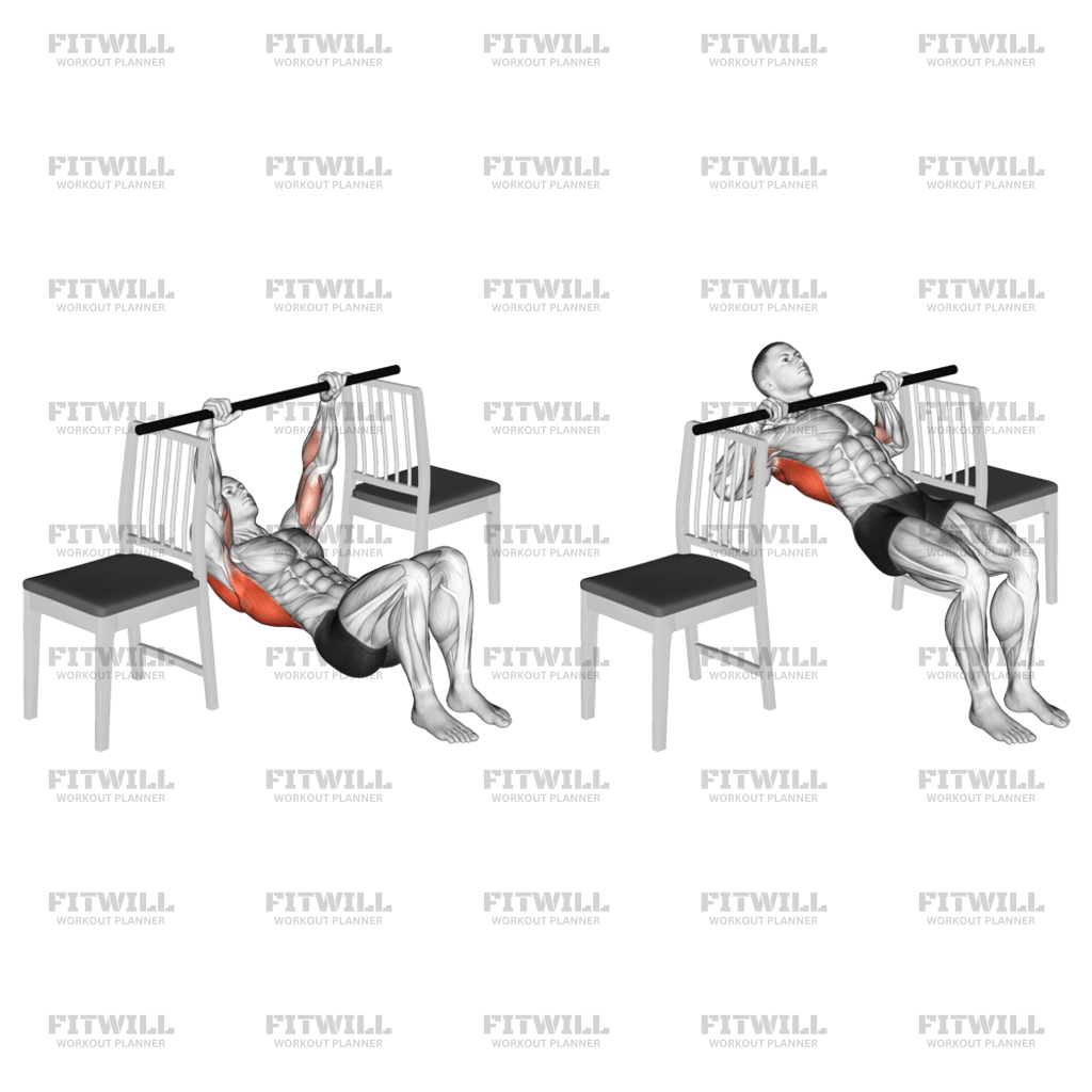 Inverted Row With Bent Knee Between Chairs: Exercise Guide, Video ...
