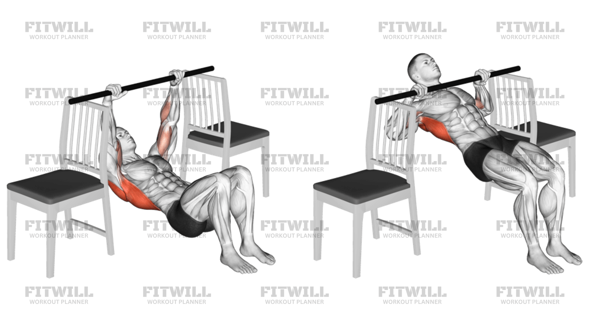 Inverted Row With Bent Knee Between Chairs: Exercise Guide, Video ...