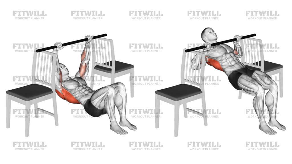 Inverted Row With Bent Knee Between Chairs: Exercise Guide, Video ...