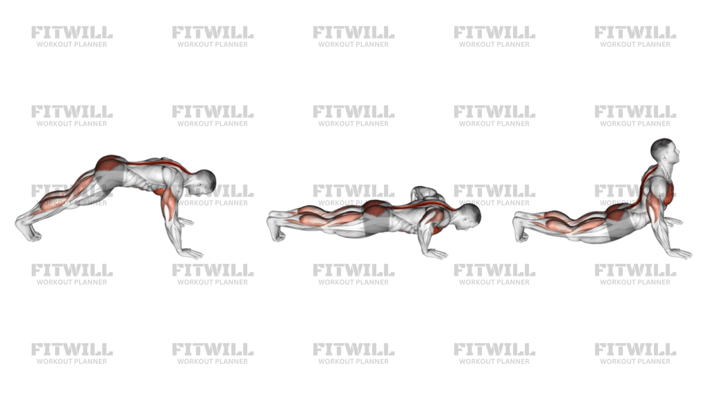 Ultimate Bodyweight Push-up Routine for Upper Body Strength | Workout ...
