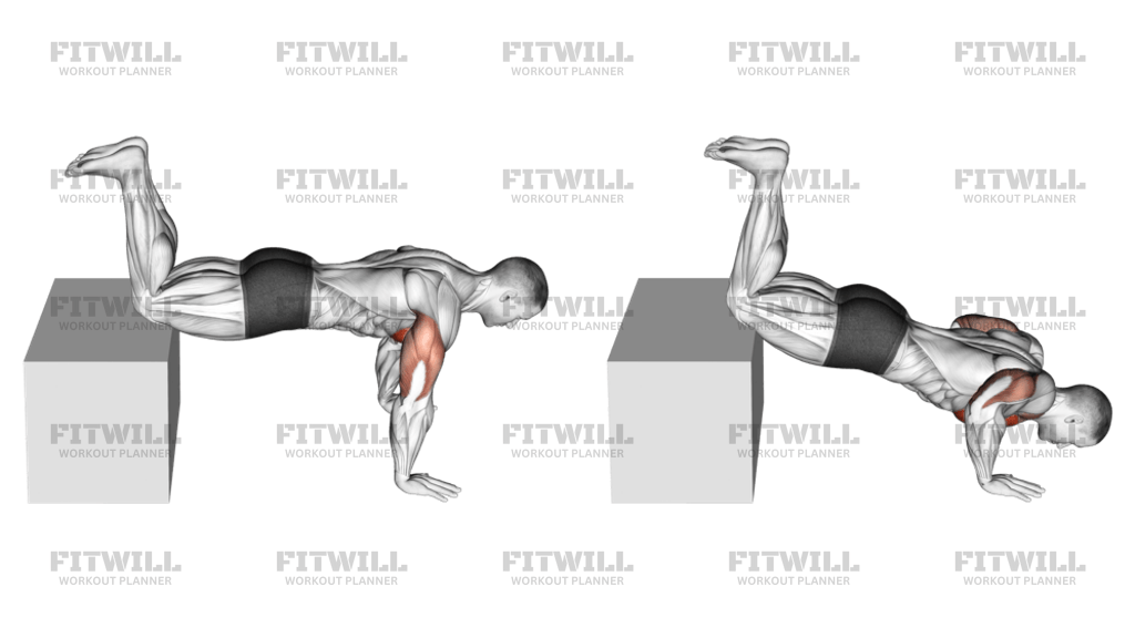 Decline Kneeling Push-up On Box: Exercise Guide, Video, Techniques ...