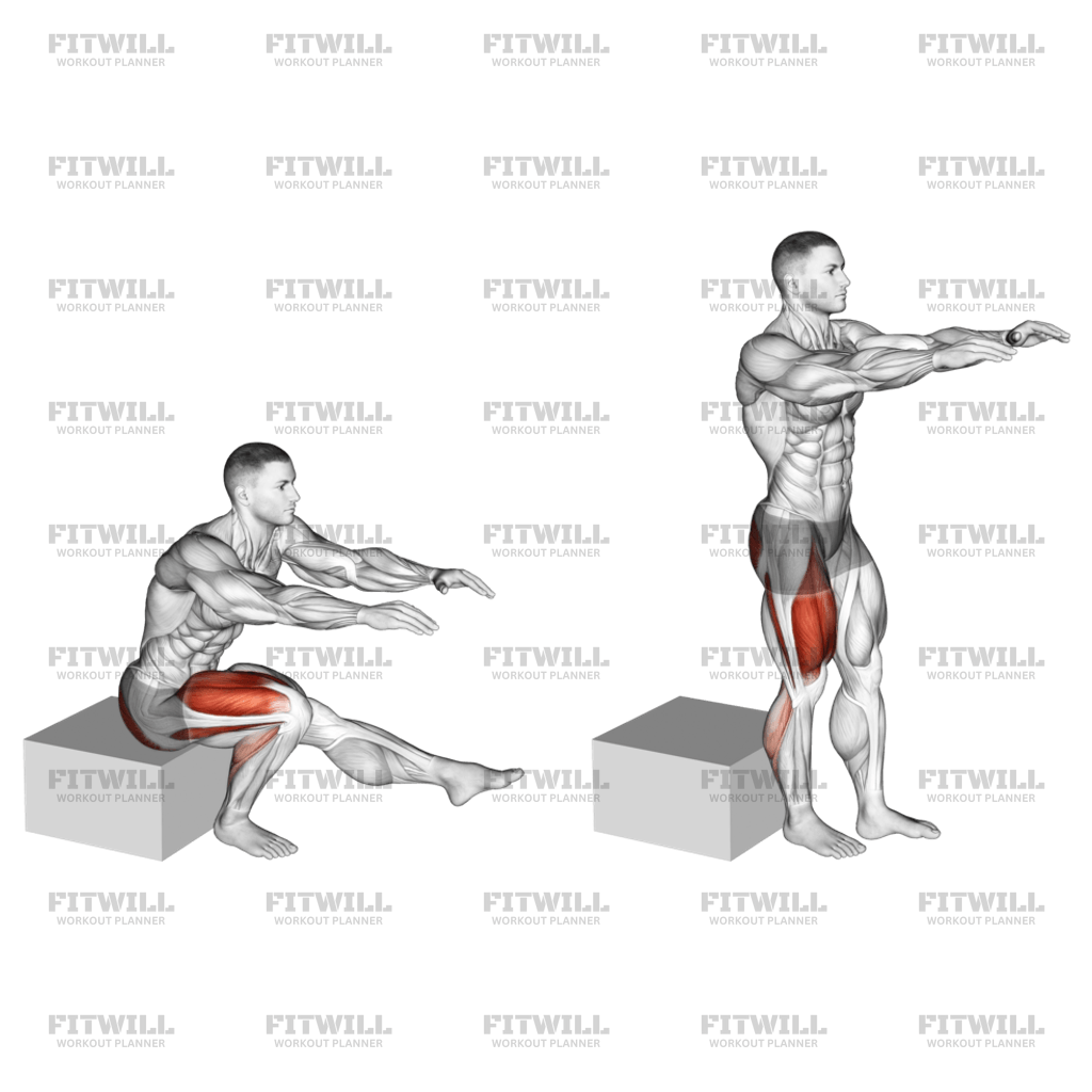 Single Leg Low Box Squat: Exercise Guide, Video, Techniques, Benefits ...
