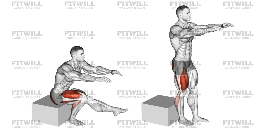 Single Leg Low Box Squat: Exercise Guide, Video, Techniques, Benefits ...