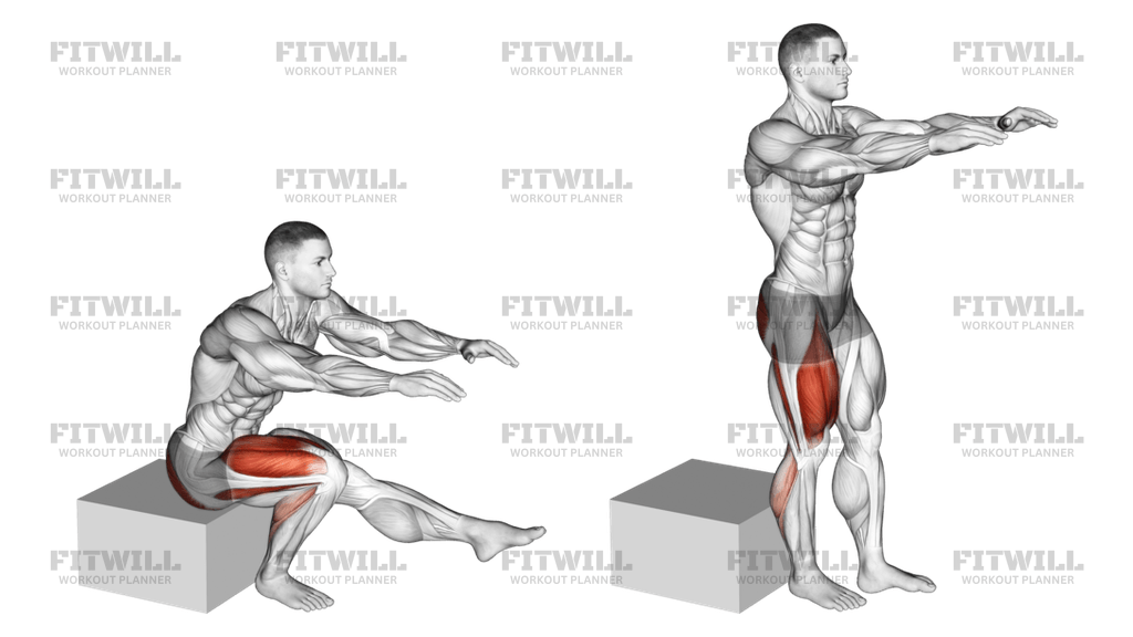 Single Leg Low Box Squat: Exercise Guide, Video, Techniques, Benefits ...
