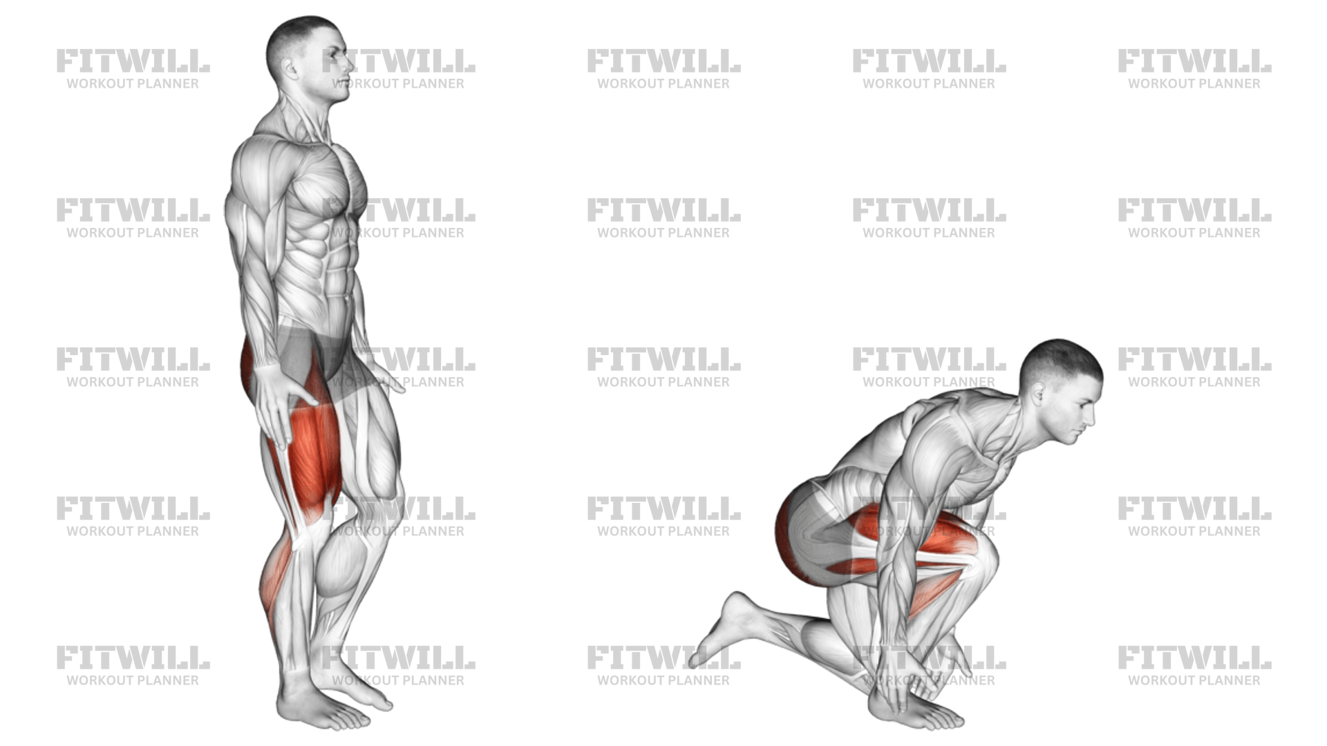 Single Leg Heel Touch Squat: Exercise Guide, Video, Techniques ...