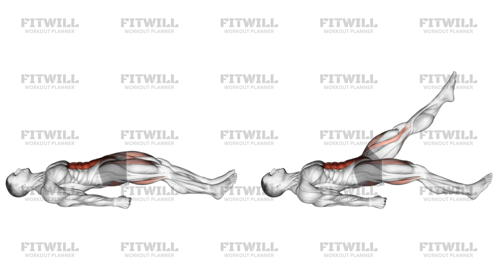 Lying Straight Leg Marches: Exercise Guide, Video, Techniques, Benefits ...