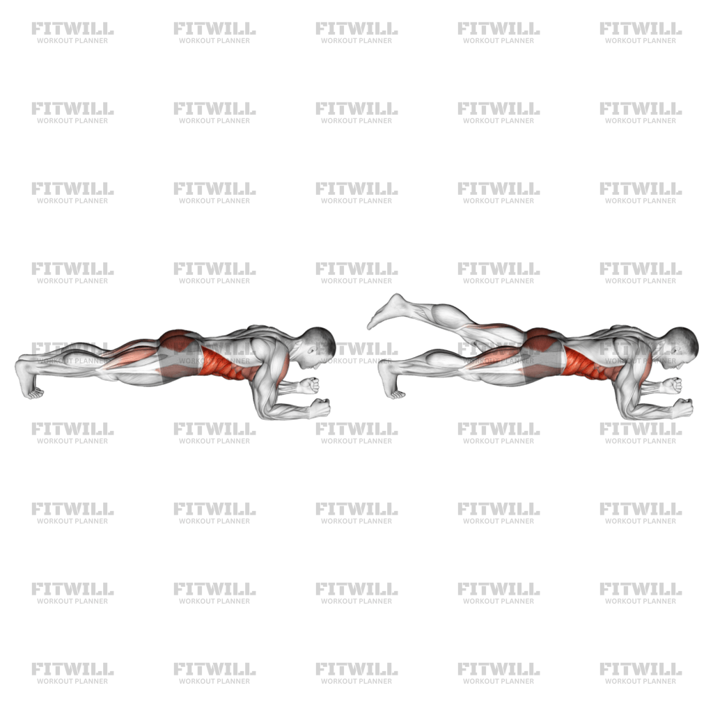 Front Plank With Leg Lift: Exercise Guide, Video, Techniques, Benefits ...