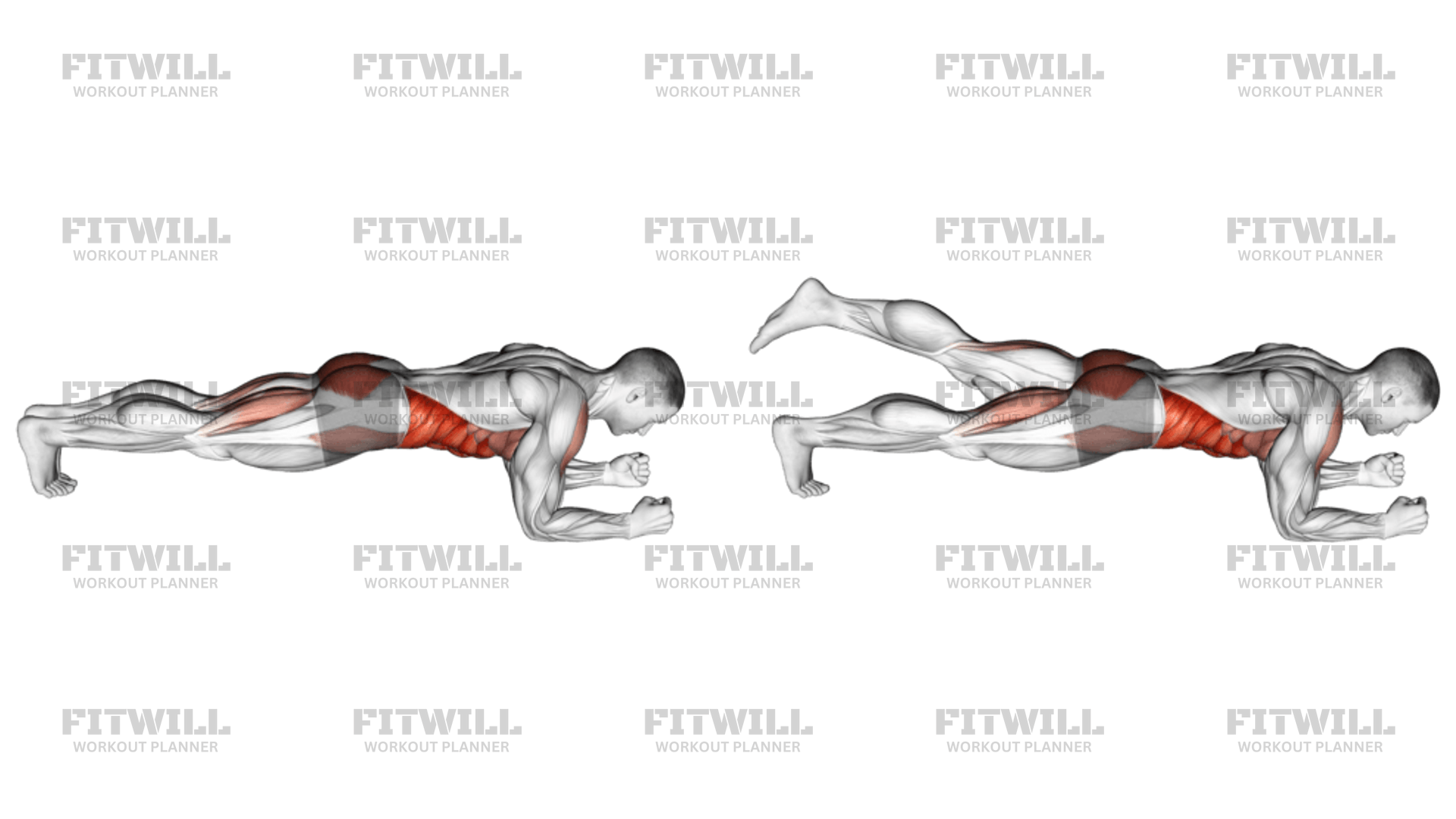 Prancha Frontal Com Elevação De Perna: Guia de Exercícios, Vídeo ...