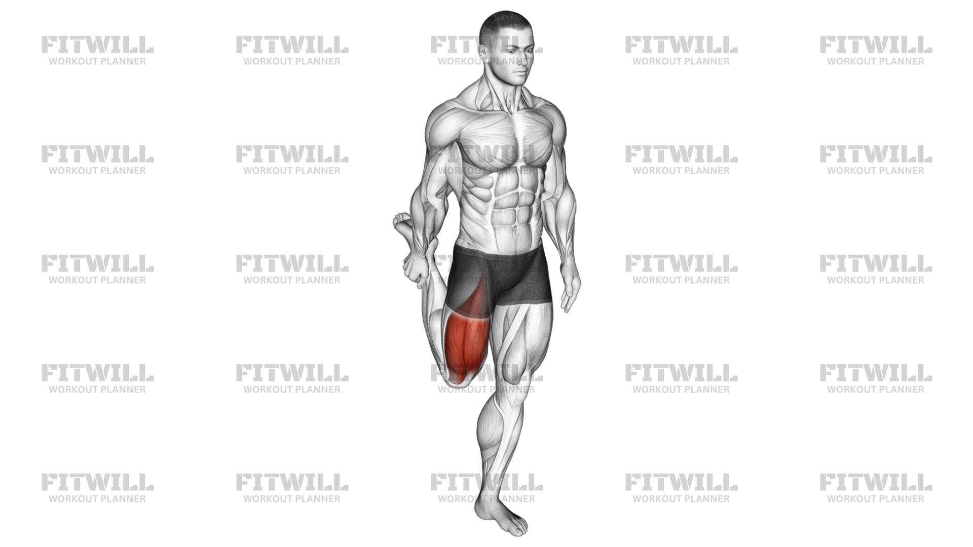 Standing Balance Quadriceps Stretch: Exercise Guide, Video, Techniques ...