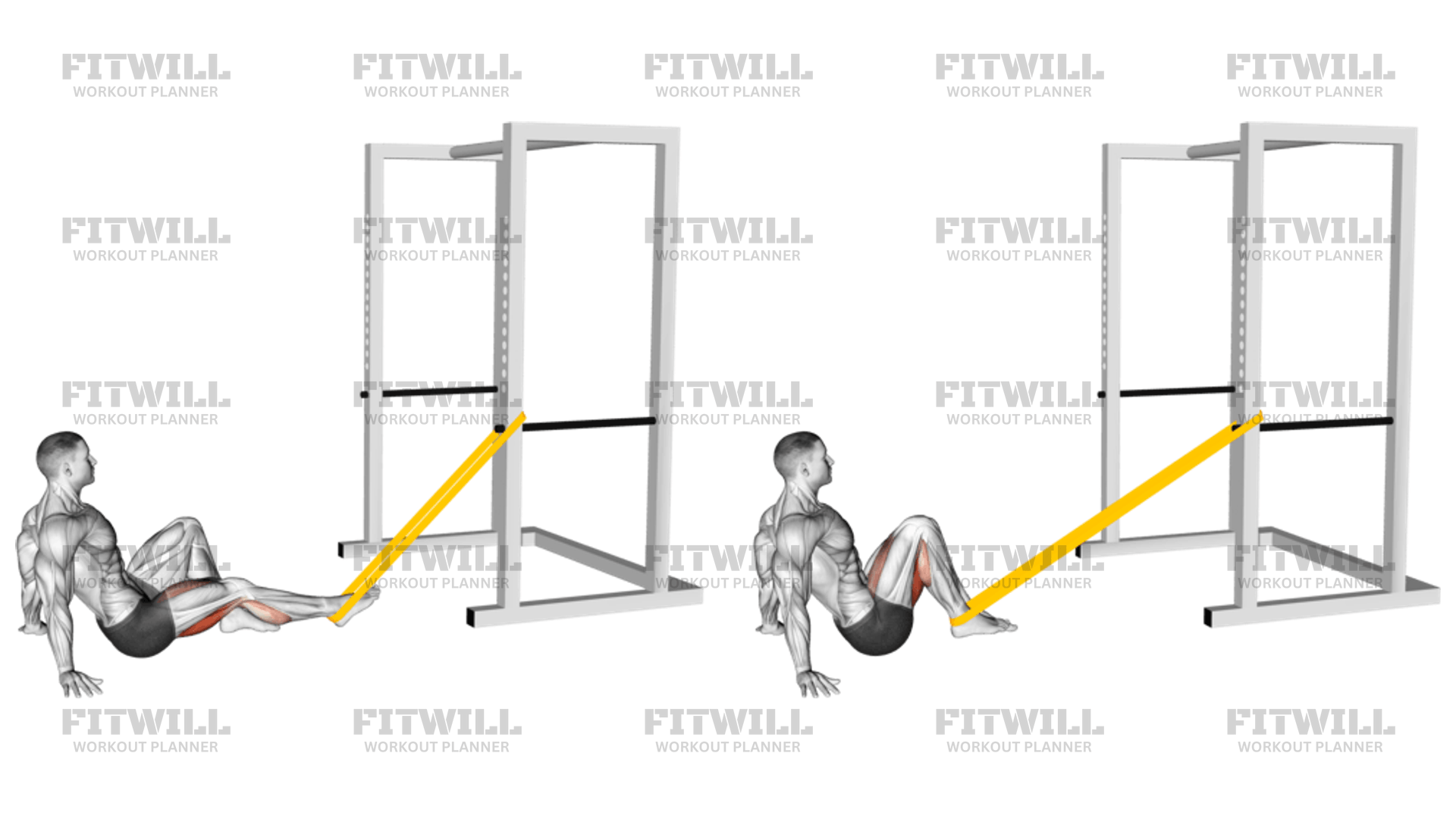 Resistance Band Seated Single Leg Curl: Exercise Guide, Techniques ...