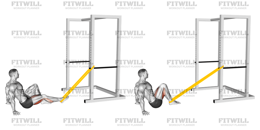 Resistance Band Seated Single Leg Curl: Exercise Guide, Techniques ...