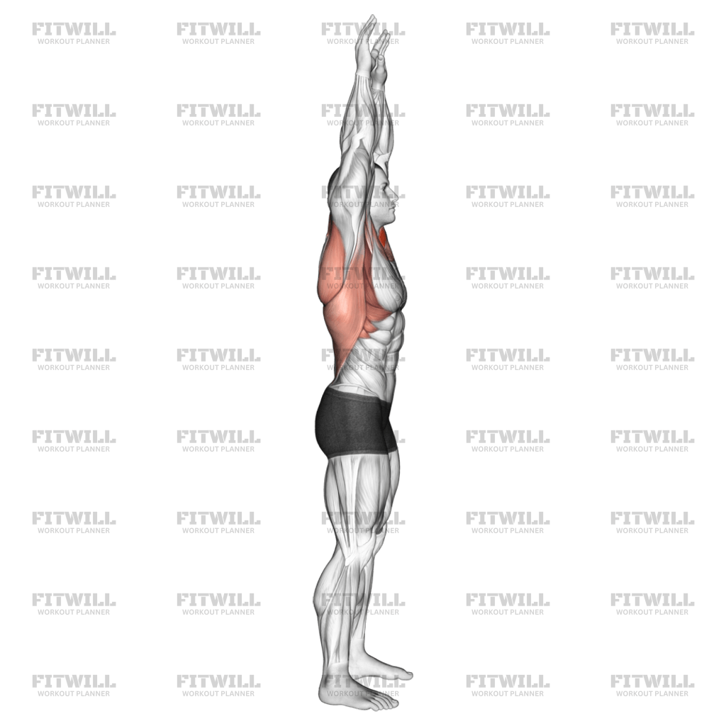 Shoulder Backbend Stretch: Exercise Guide, Video, Techniques, Benefits ...