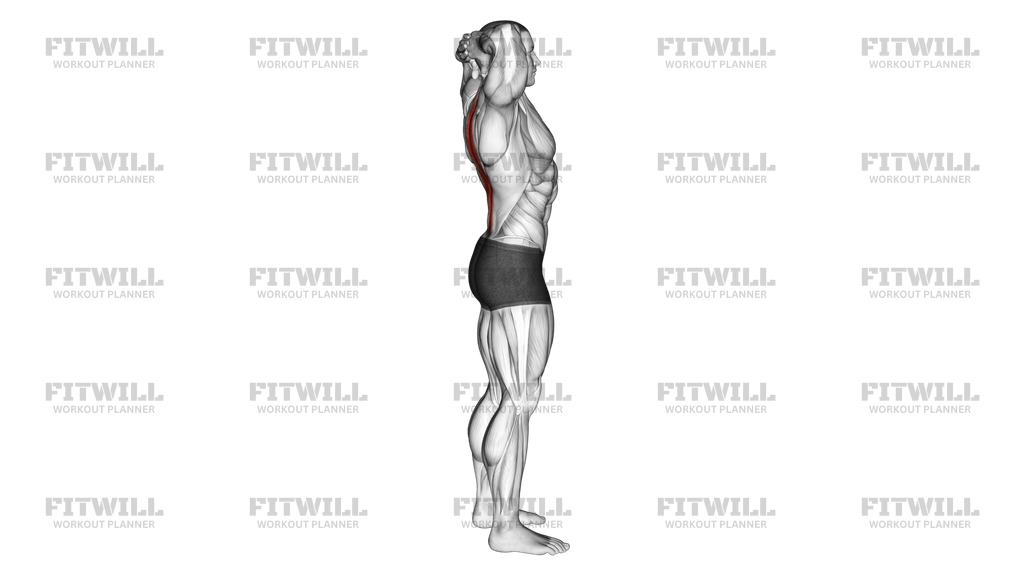 Spine Backbend Stretch: Exercise Guide, Video, Techniques, Benefits ...