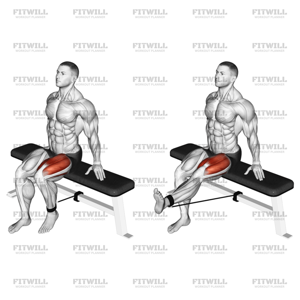 Band Seated Leg Extension Exercise Guide Video Techniques Benefits How To Muscles Worked