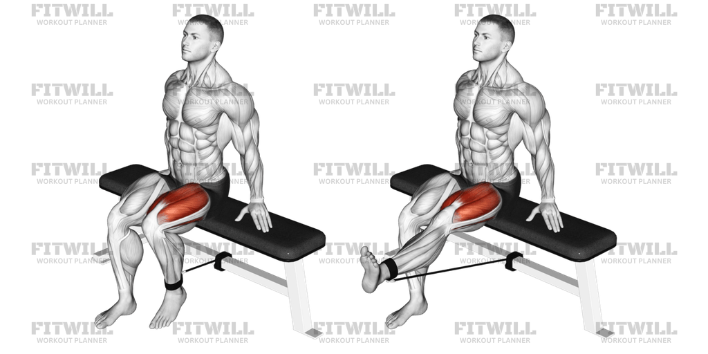 Band Seated Leg Extension: Exercise Guide, Video, Techniques, Benefits ...