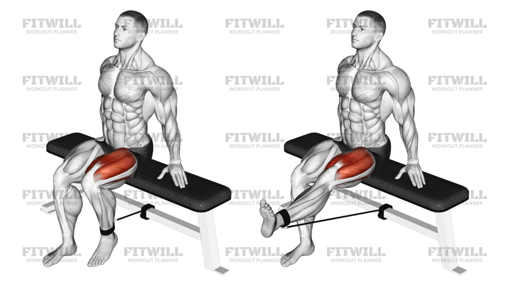 Band Seated Leg Extension: Exercise Guide, Video, Techniques, Benefits ...