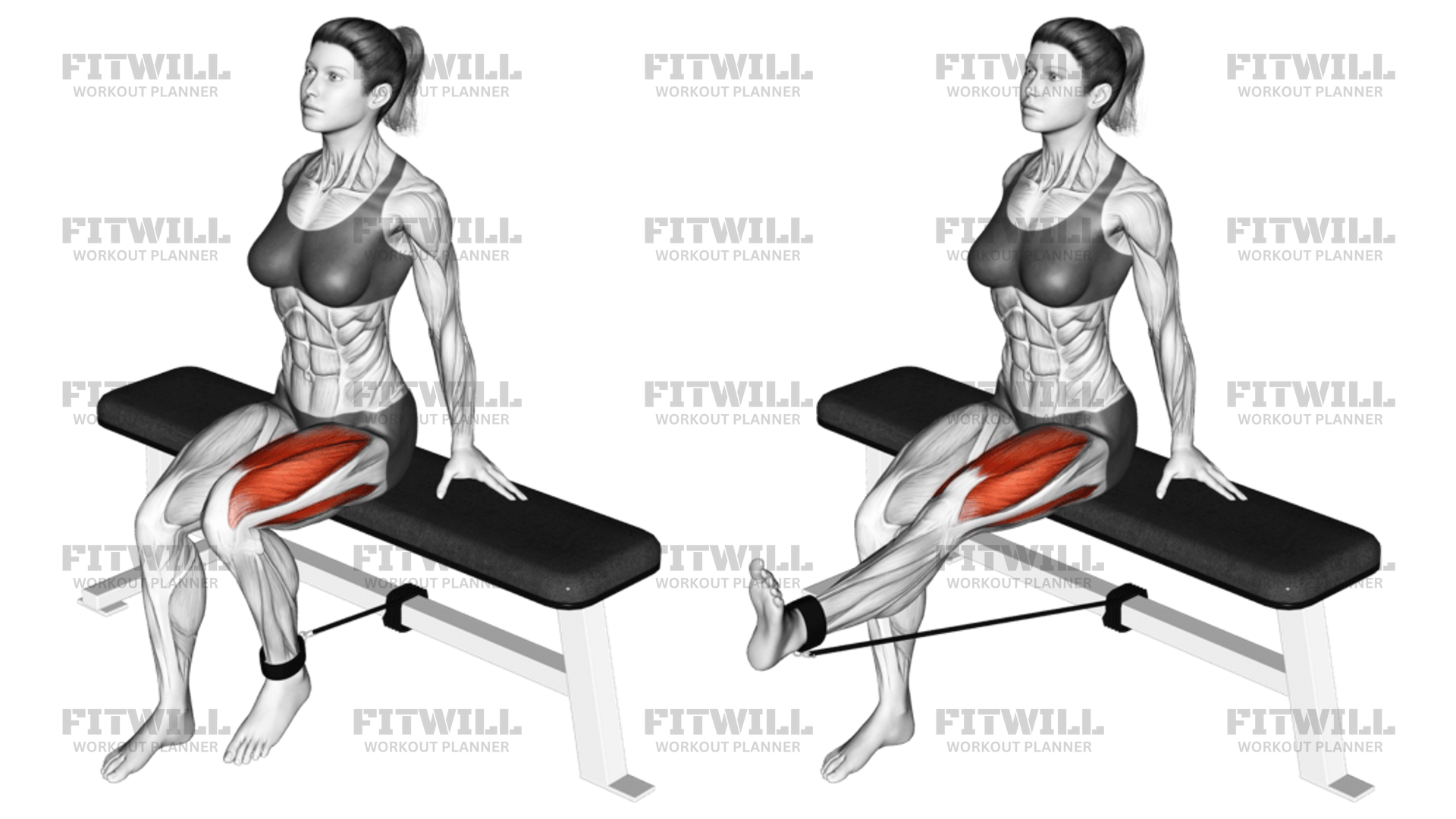 Band Seated Leg Extension: Exercise Guide, Video, Techniques, Benefits ...