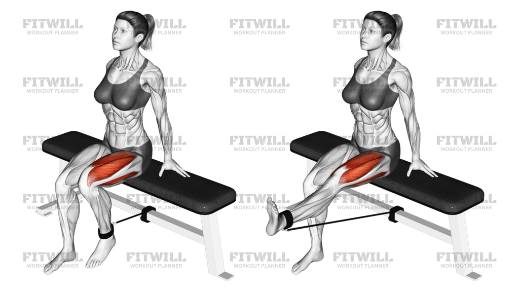 Band Seated Leg Extension: Exercise Guide, Video, Techniques, Benefits ...