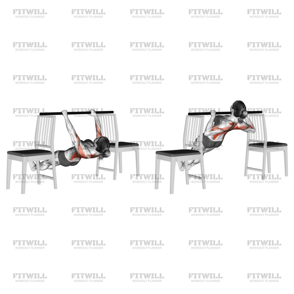 Remo Invertido Entre Sillas: Guía de Ejercicios, Video, Técnicas ...