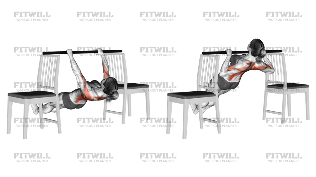 Inverted Row Between Chairs: Exercise Guide, Video, Techniques ...