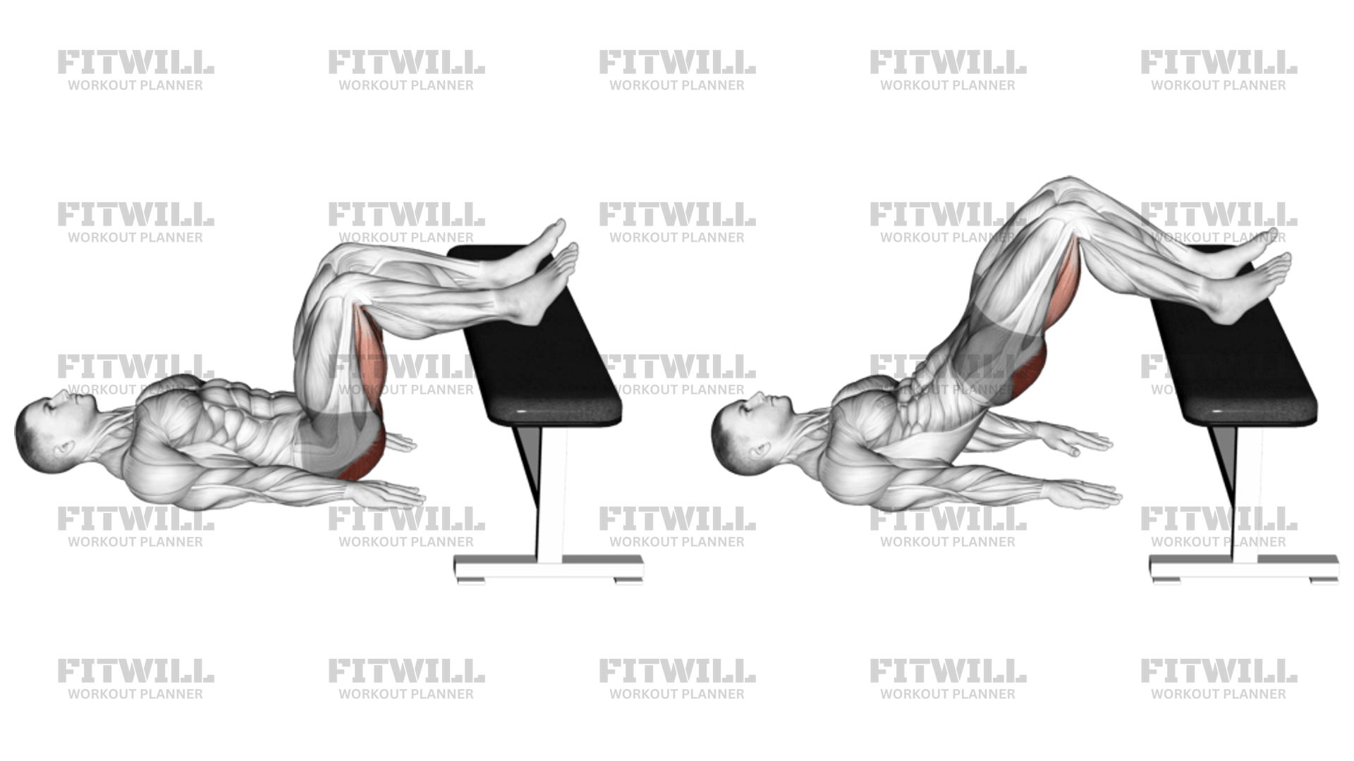 Glute Bridge Two Legs On Bench: Exercise Guide, Video, Techniques ...