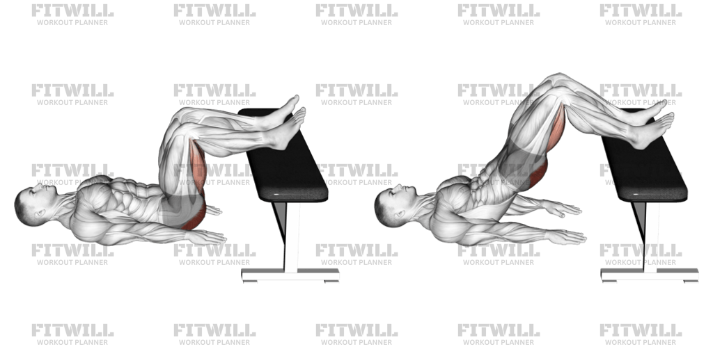 Glute Bridge Two Legs On Bench: Exercise Guide, Video, Techniques ...