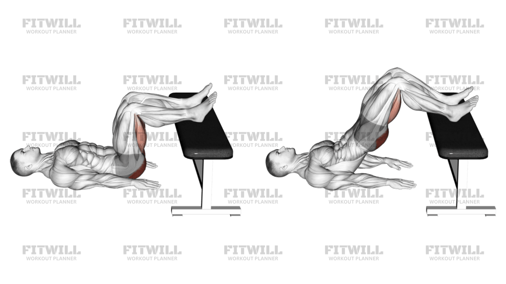 Glute Bridge Two Legs On Bench: Exercise Guide, Video, Techniques ...
