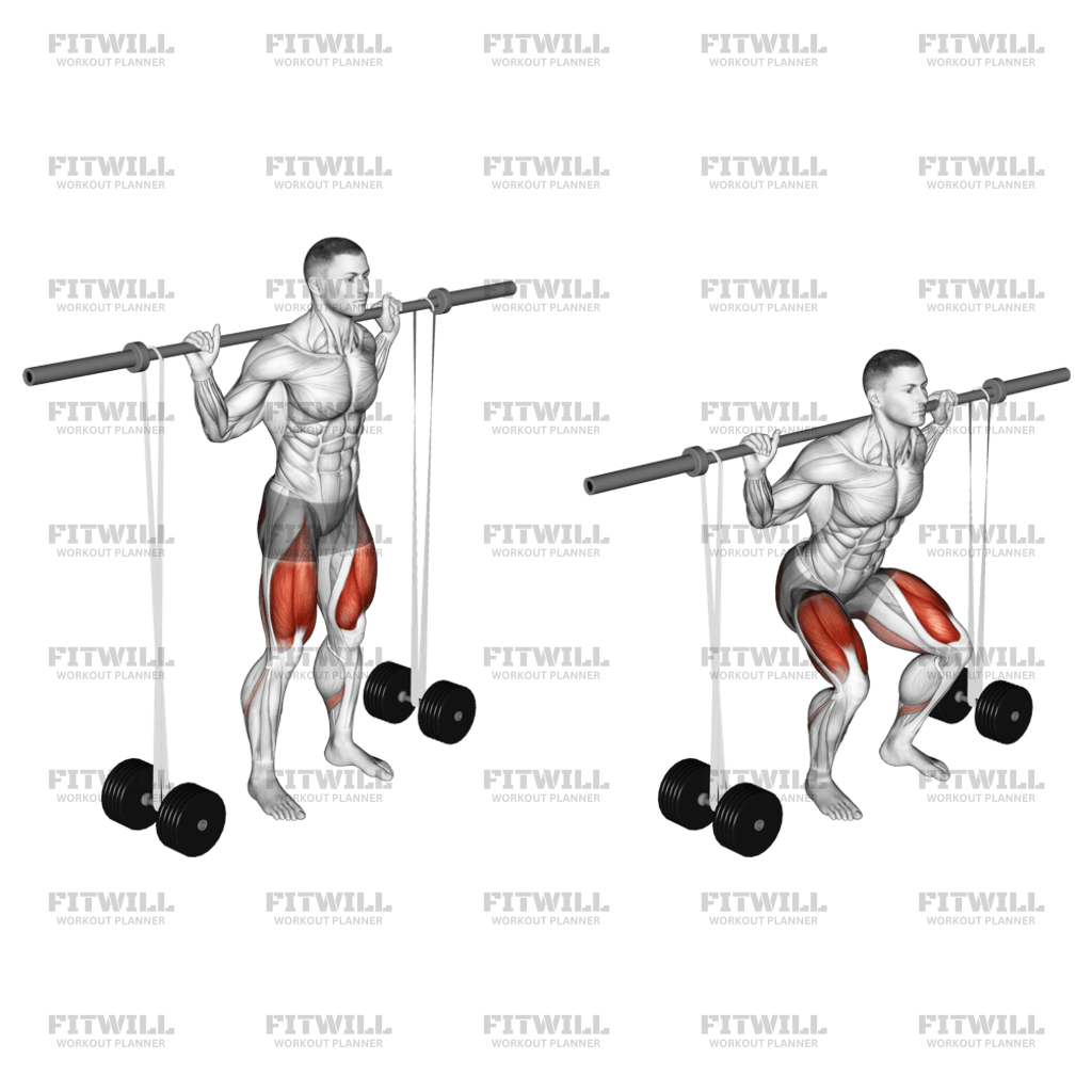 Barbell Banded Squat: Exercise Guide, Techniques, Benefits, How to ...