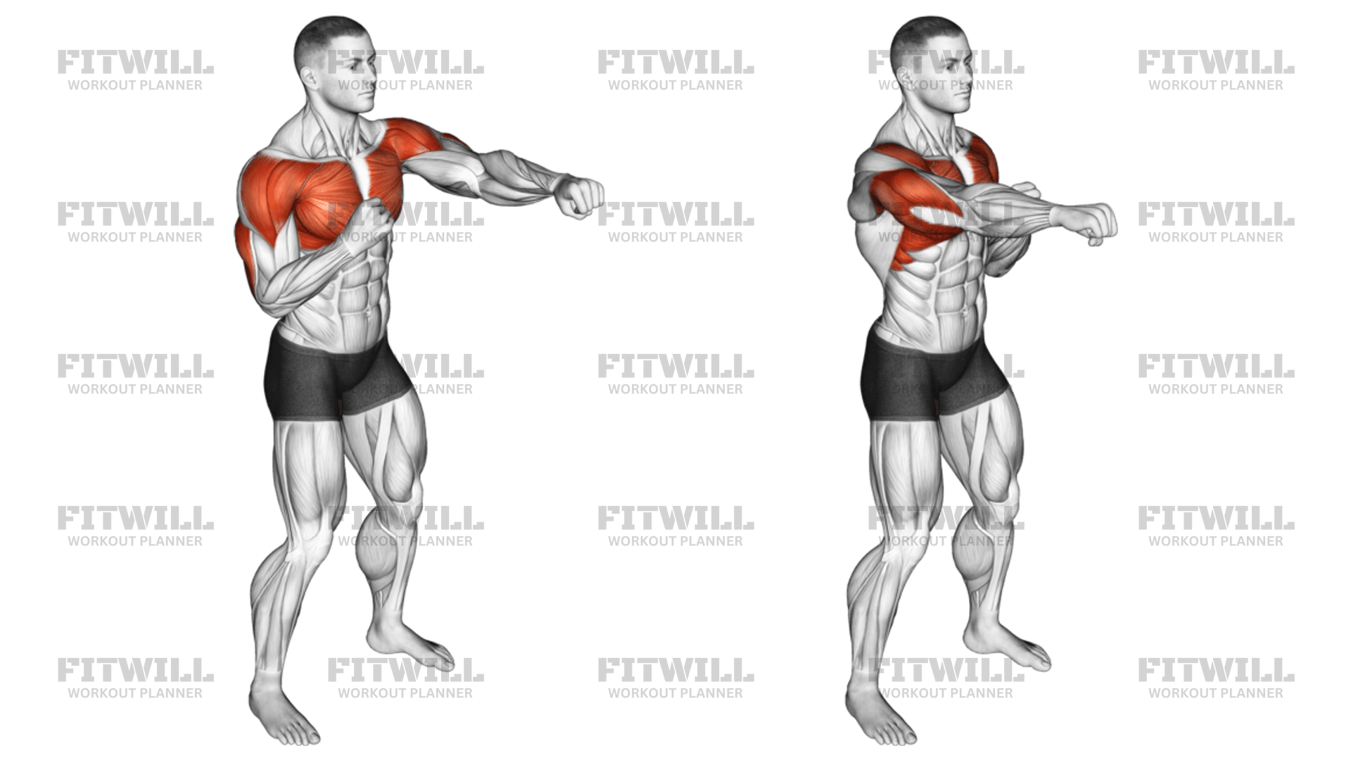 Alternate Punching: Exercise Guide, Techniques, Benefits, How to ...