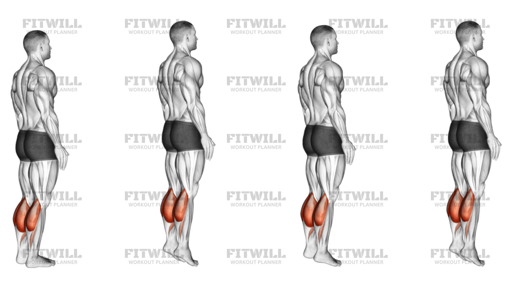 Bodyweight Standing Pulse Calf Raise: Exercise Guide, Techniques ...