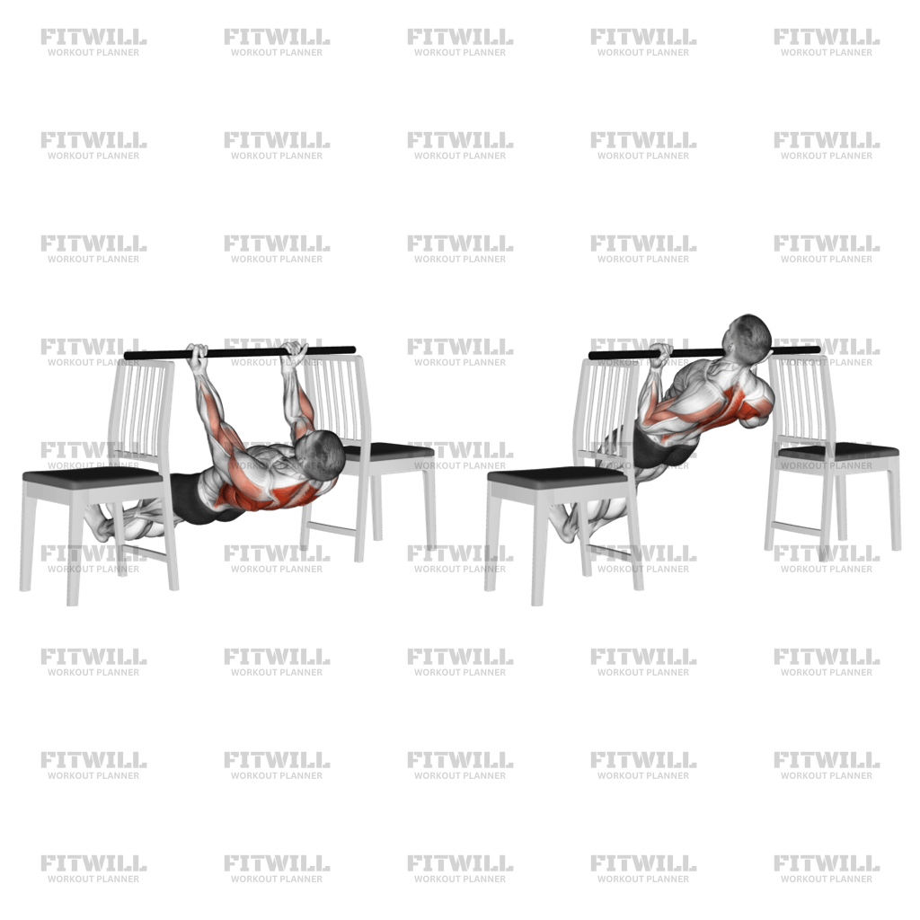 Inverted Underhand Grip Row Between Chairs: Exercise Guide, Techniques ...