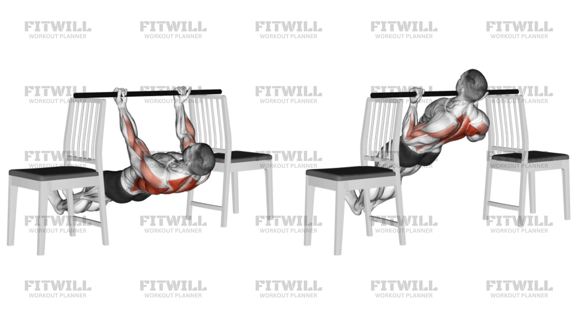 Inverted Underhand Grip Row Between Chairs: Exercise Guide, Techniques ...