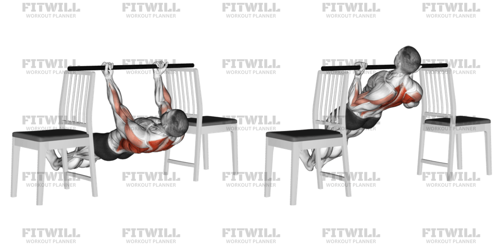 Inverted Underhand Grip Row Between Chairs: Exercise Guide, Techniques ...