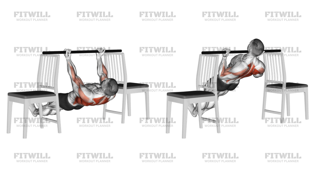 Inverted Underhand Grip Row Between Chairs: Exercise Guide, Techniques ...