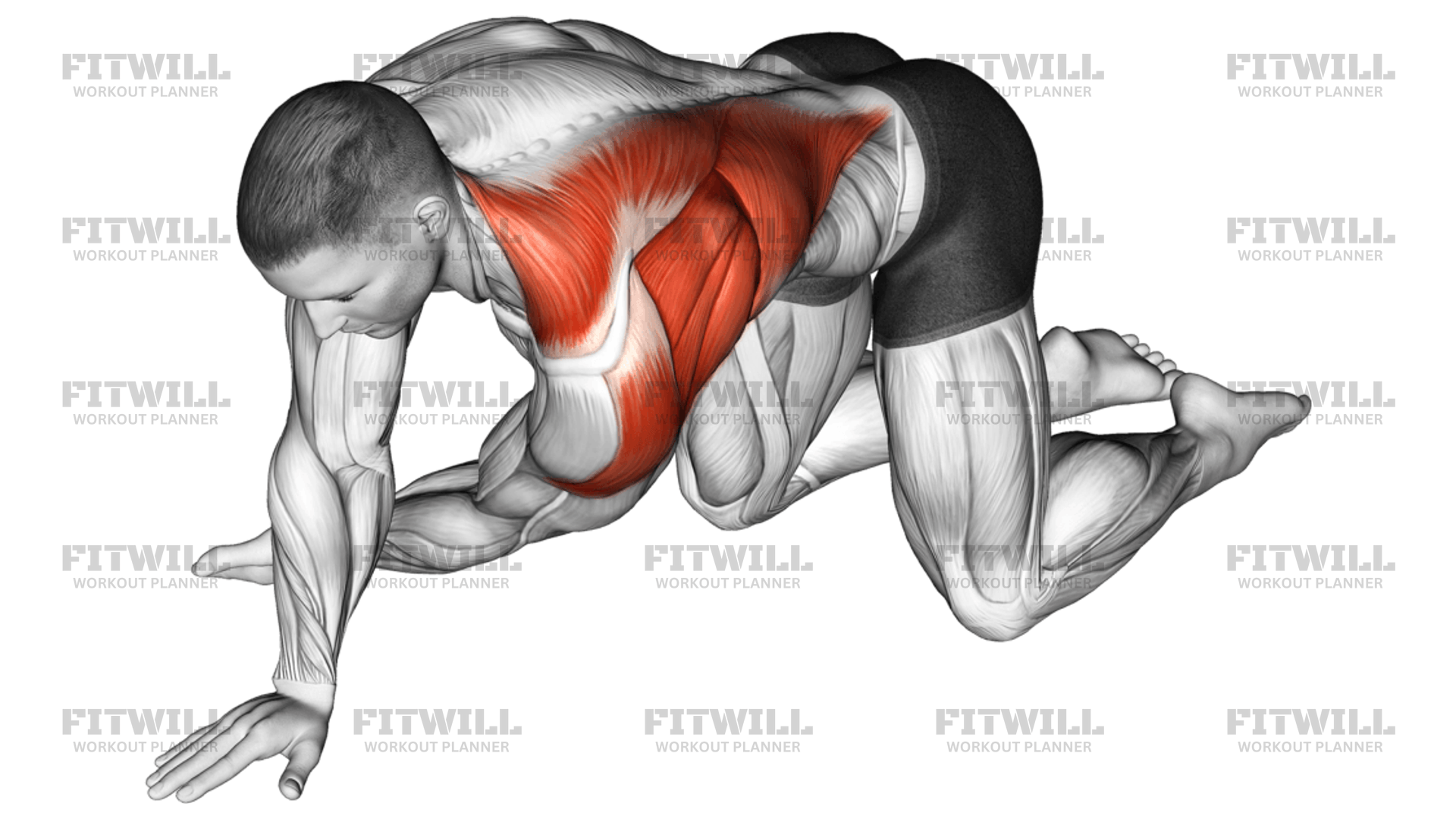 Kneeling T-Spine Mobility Stretching: Exercise Guide, Video, Techniques ...