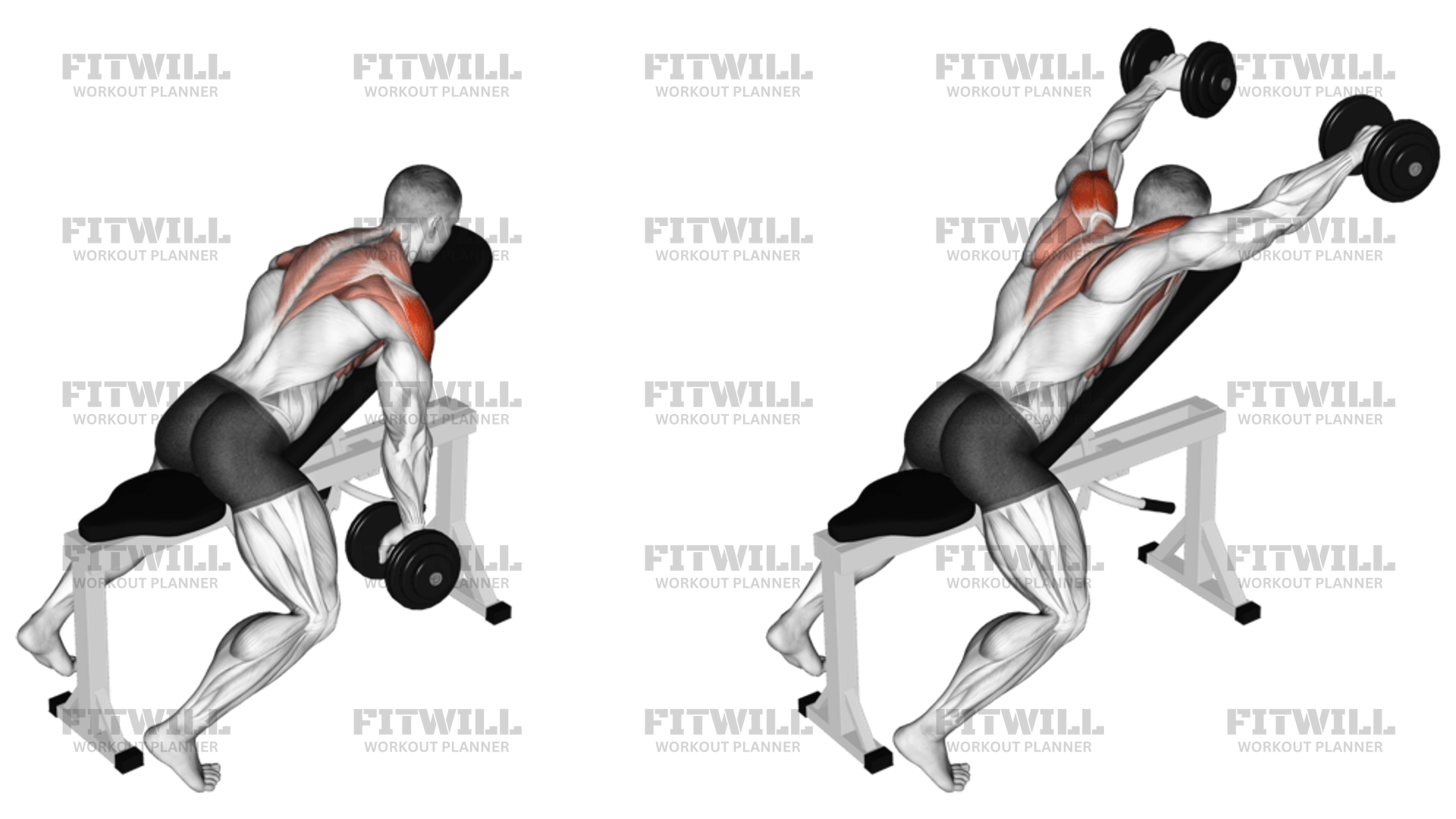 Dumbbell Incline Y-Raise: Exercise Guide, Video, Techniques, Benefits ...