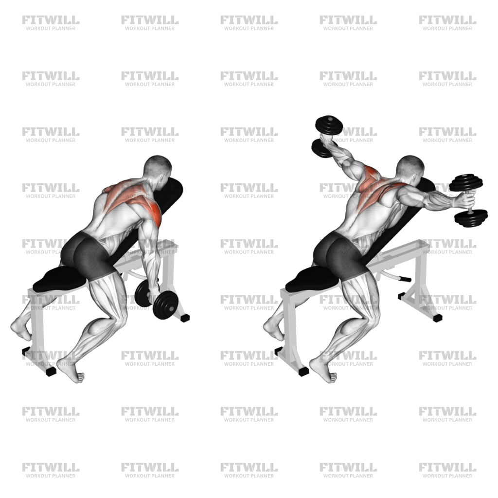 Dumbbell Incline T-Raise: Exercise Guide, Video, Techniques, Benefits ...