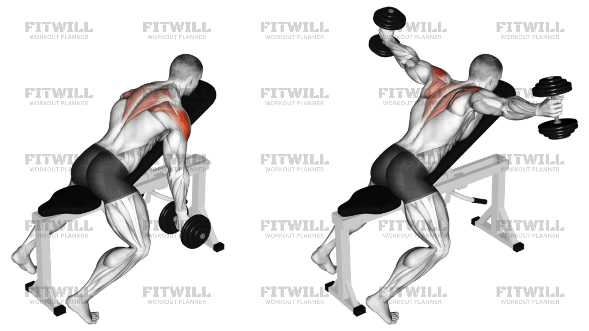 Dumbbell Incline T-Raise: Exercise Guide, Video, Techniques, Benefits ...