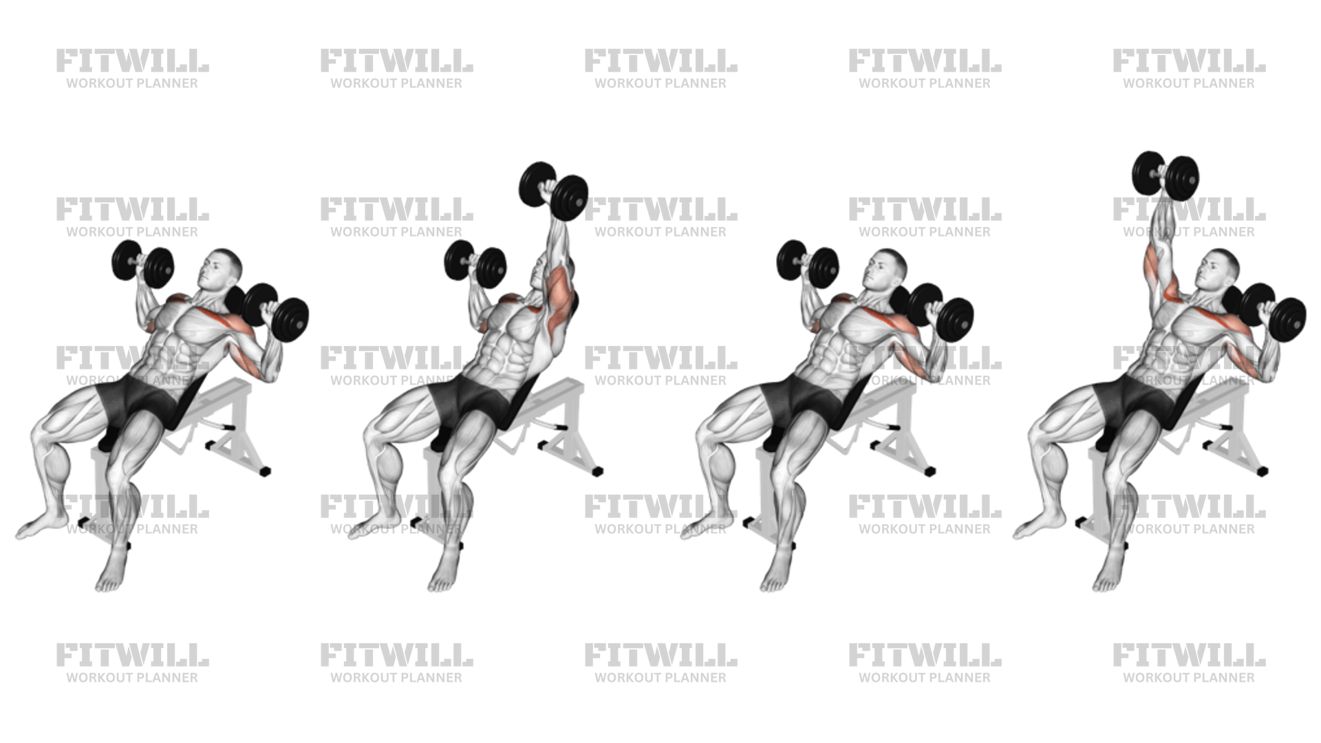 Dumbbell Incline Alternate Press: Exercise Guide, Video, Techniques, Benefits, How to, Muscles ...