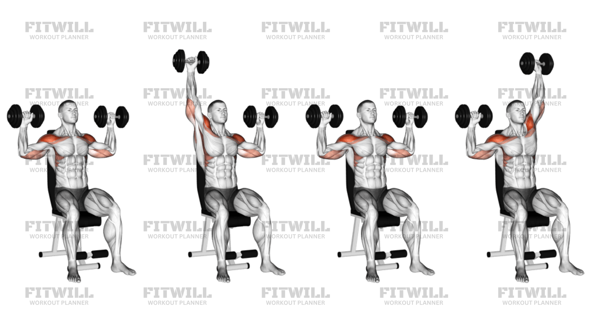 Dumbbell Seated Alternate Shoulder Press: Exercise Guide, Video ...