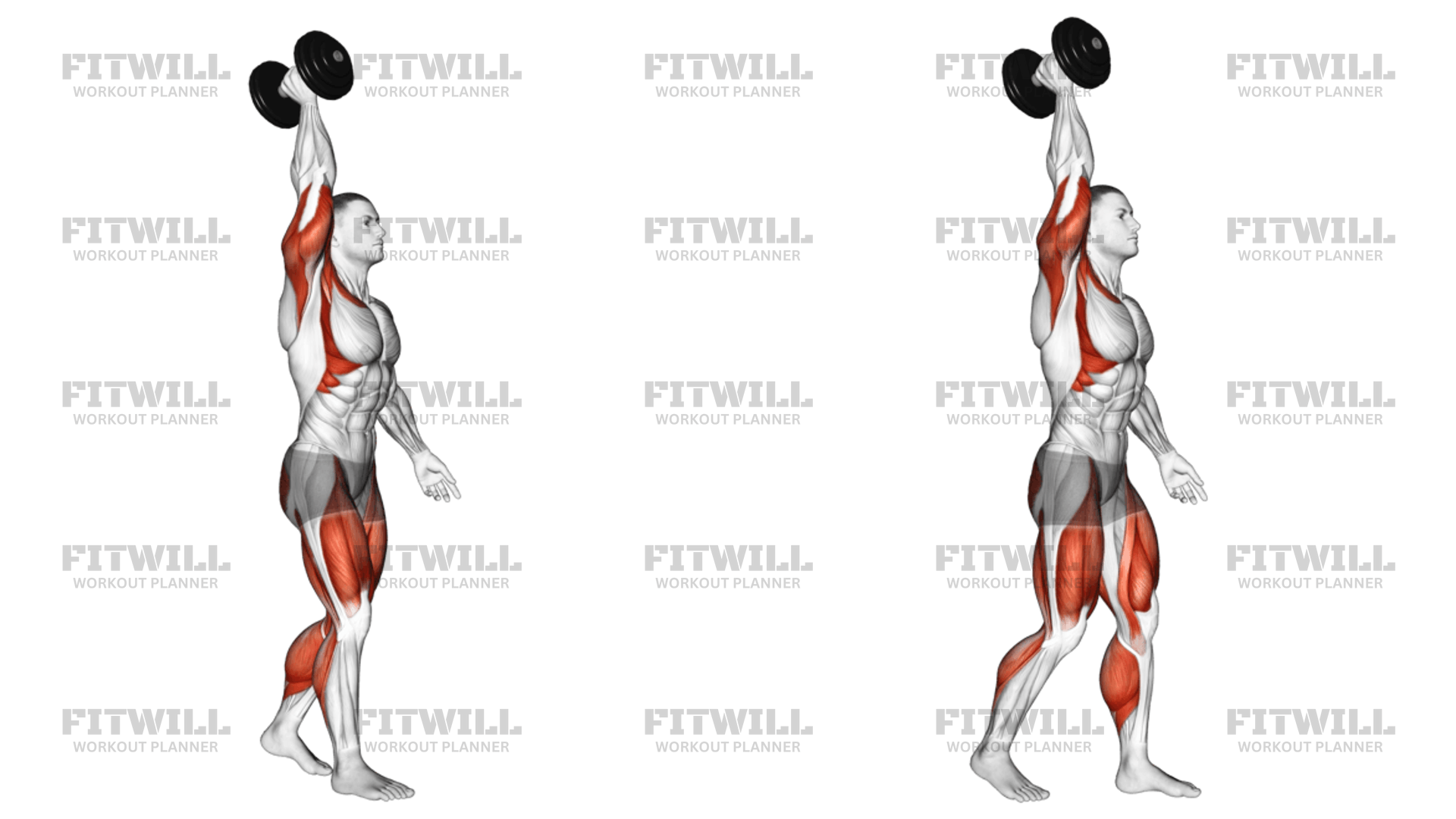 Dumbbell Single Arm Overhead Carry: Exercise Guide, Video, Techniques, Benefits, How to, Muscles ...