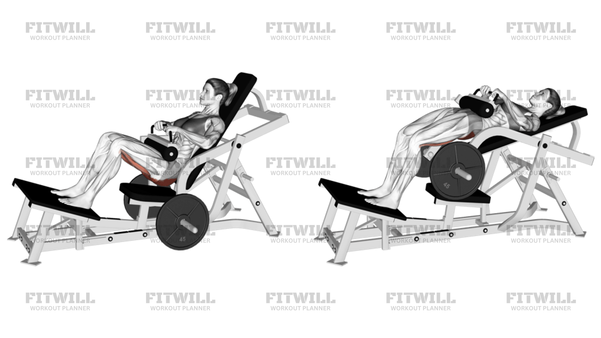 Lever Hip Thrust (plate Loaded): Exercise Guide, Video, Techniques ...