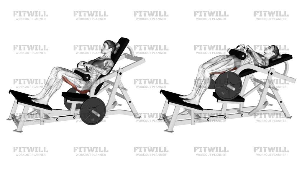 Lever Hip Thrust (plate Loaded): Exercise Guide, Video, Techniques ...