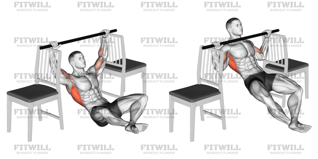 Seated Pull-up Between Chairs: Exercise Guide, Techniques, Benefits ...