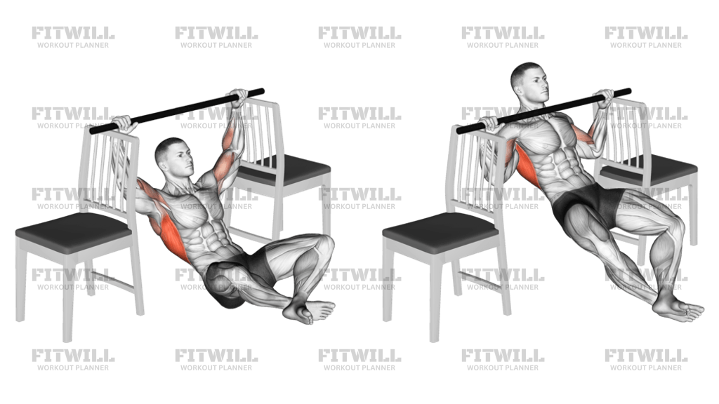 Seated Pull-up Between Chairs: Exercise Guide, Techniques, Benefits ...