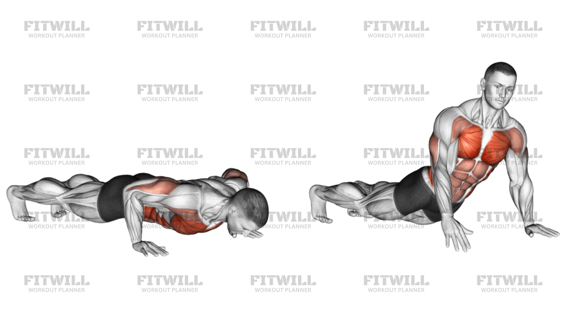 Twisting Push-up: Exercise Guide, Video, Techniques, Benefits, How to ...