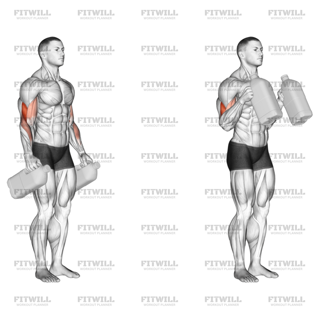 Bottle Hammer Curl: Exercise Guide, Techniques, Benefits, How to ...