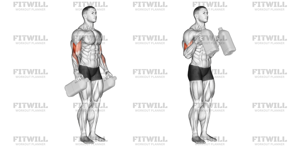 Home Biceps Workout | Workout Library | Fitwill